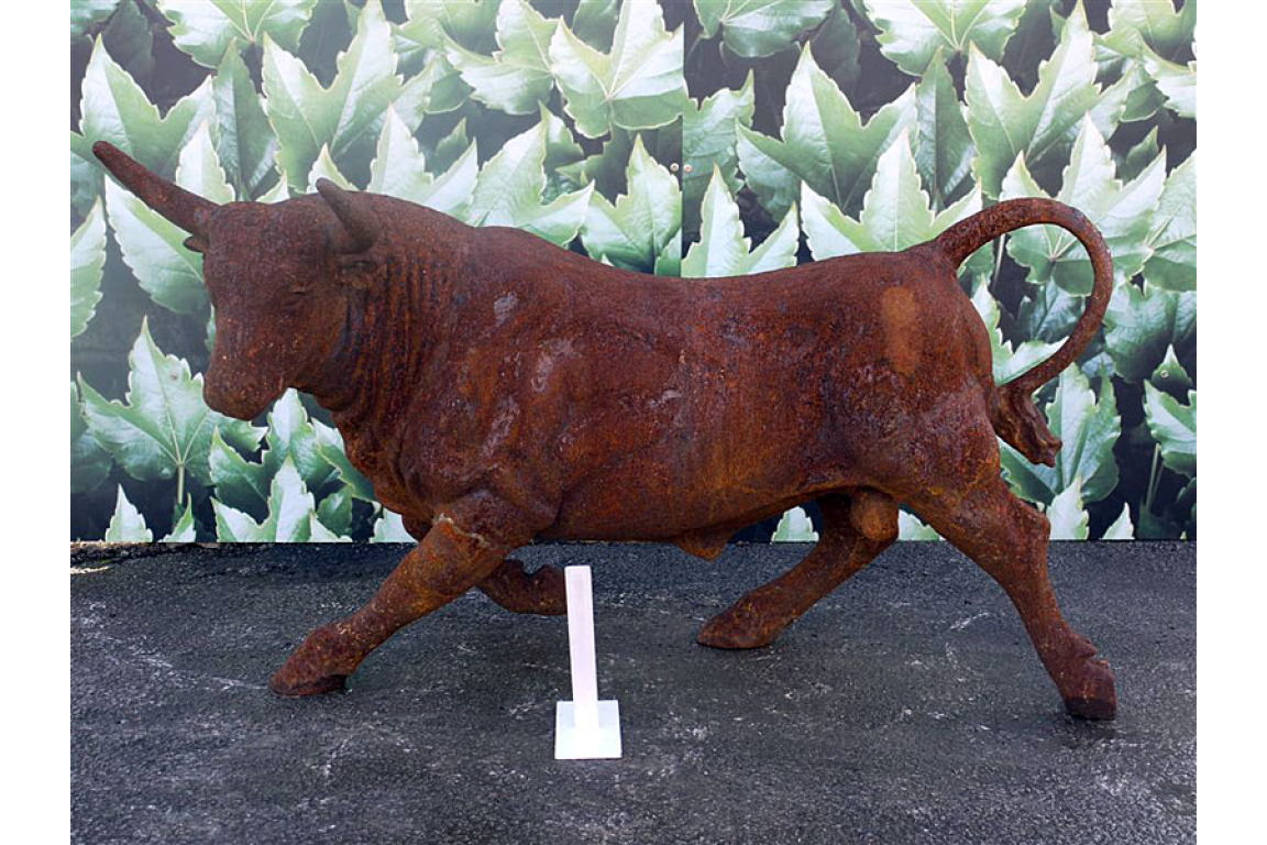 Rusty Bull