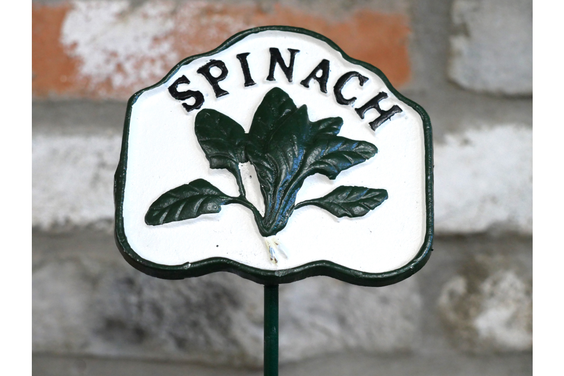 Spinach Sign