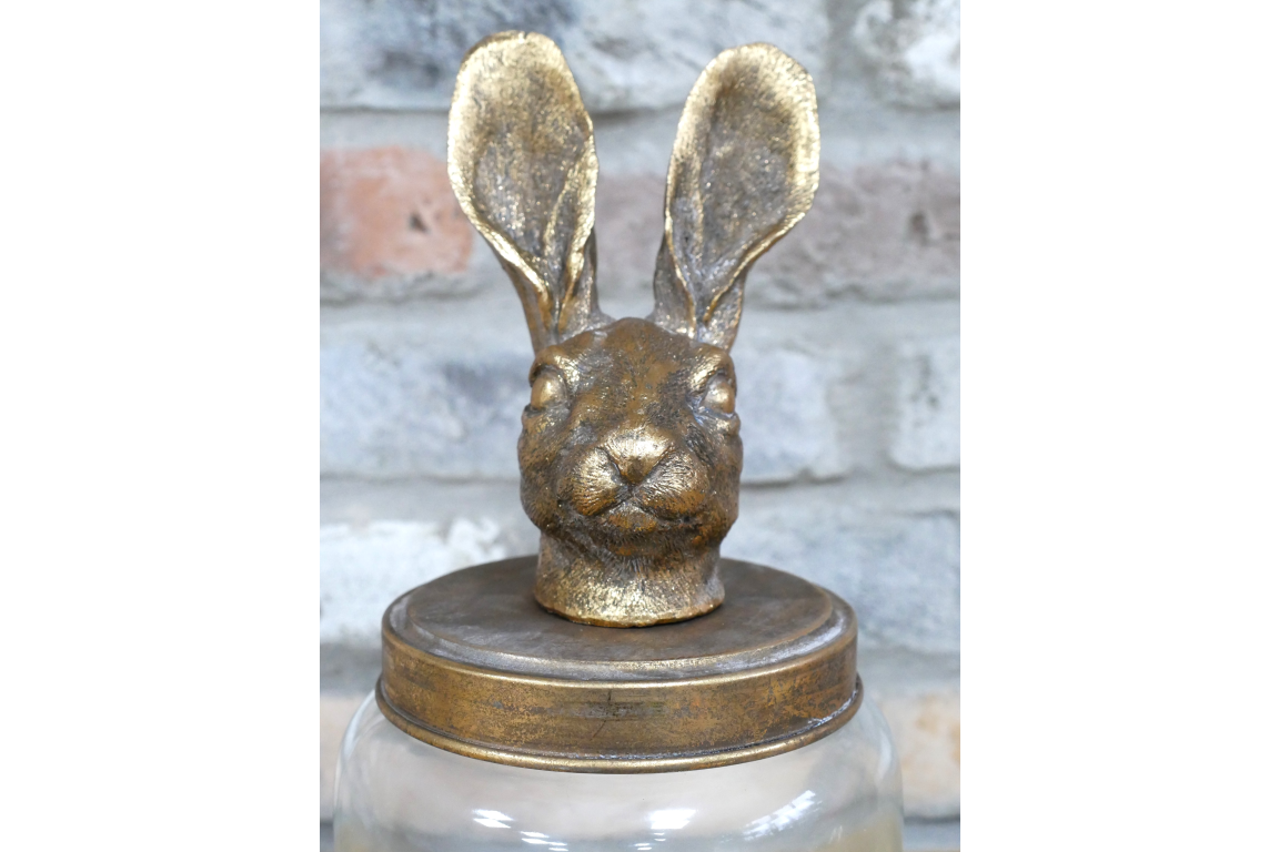 Rabbit Jar