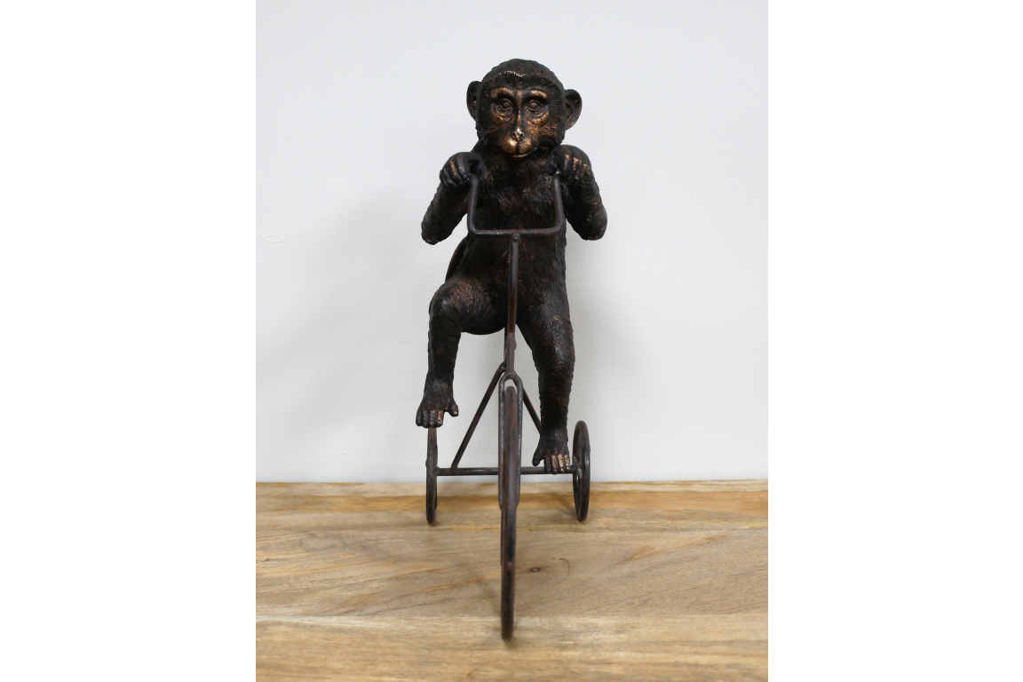 Monkey On Tricycle