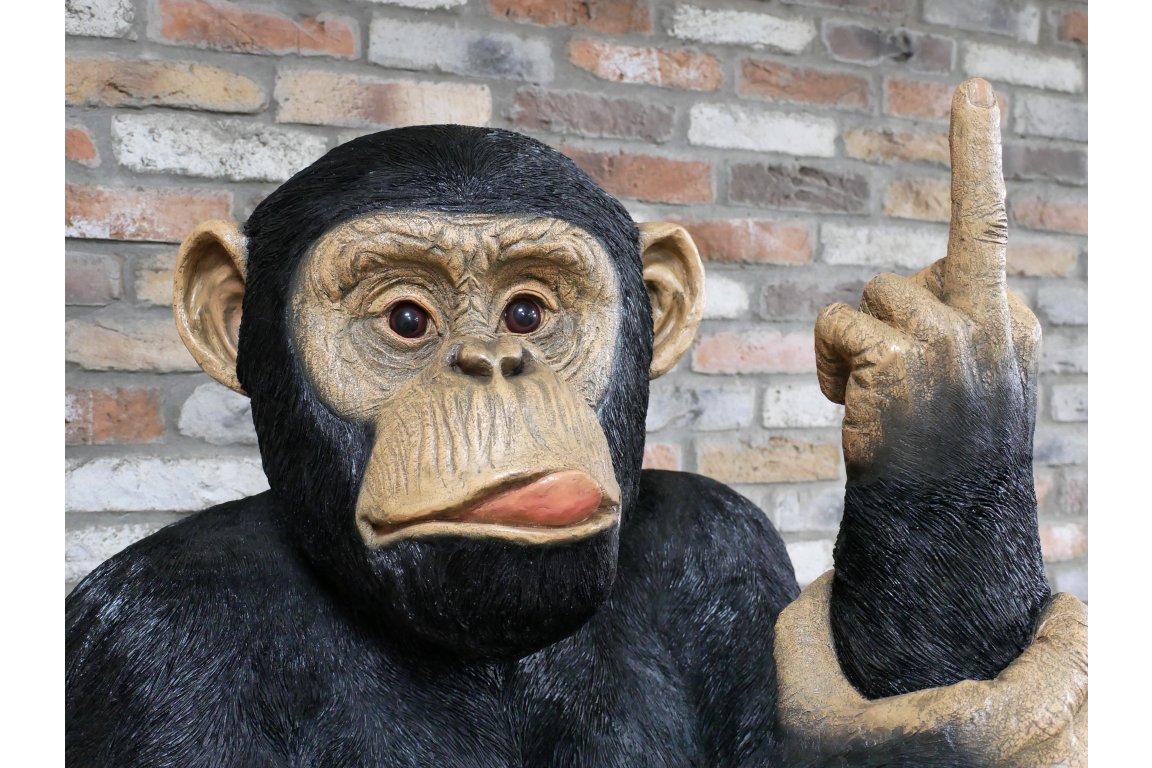 Up Yours Monkey (The Big Daddy!!!)