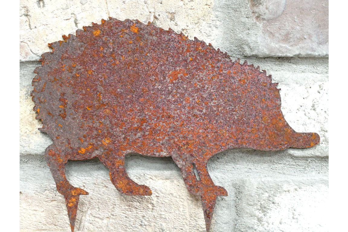 Rusty Hedgehog Spike
