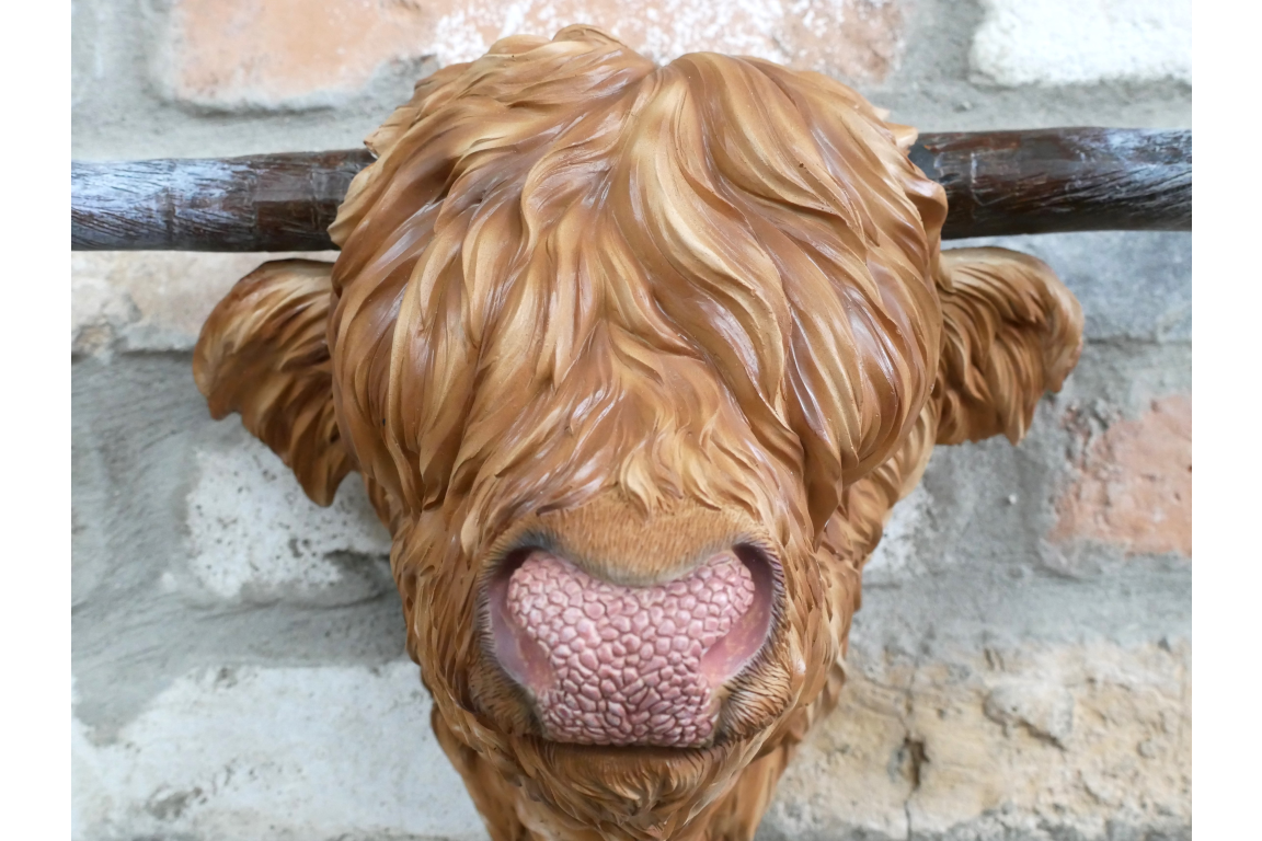 Cow Head