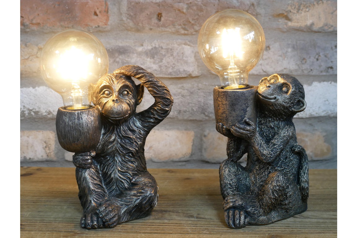 Monkey Light