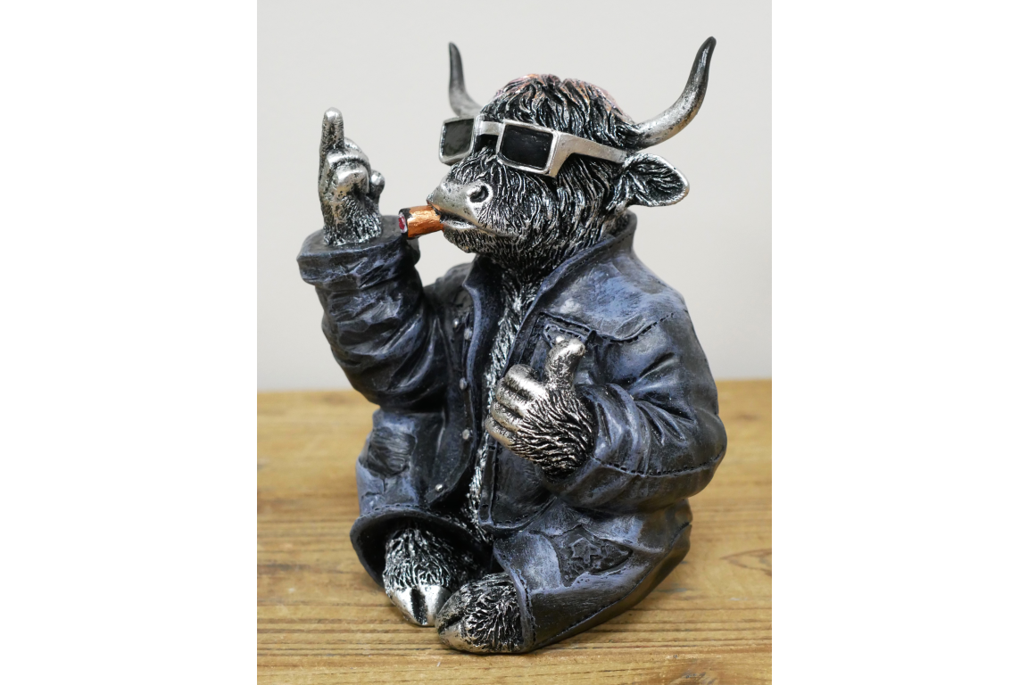 Naughty Highland Cow