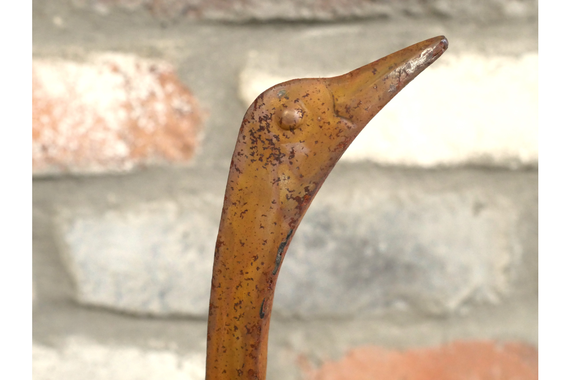 Small Rusty Bird