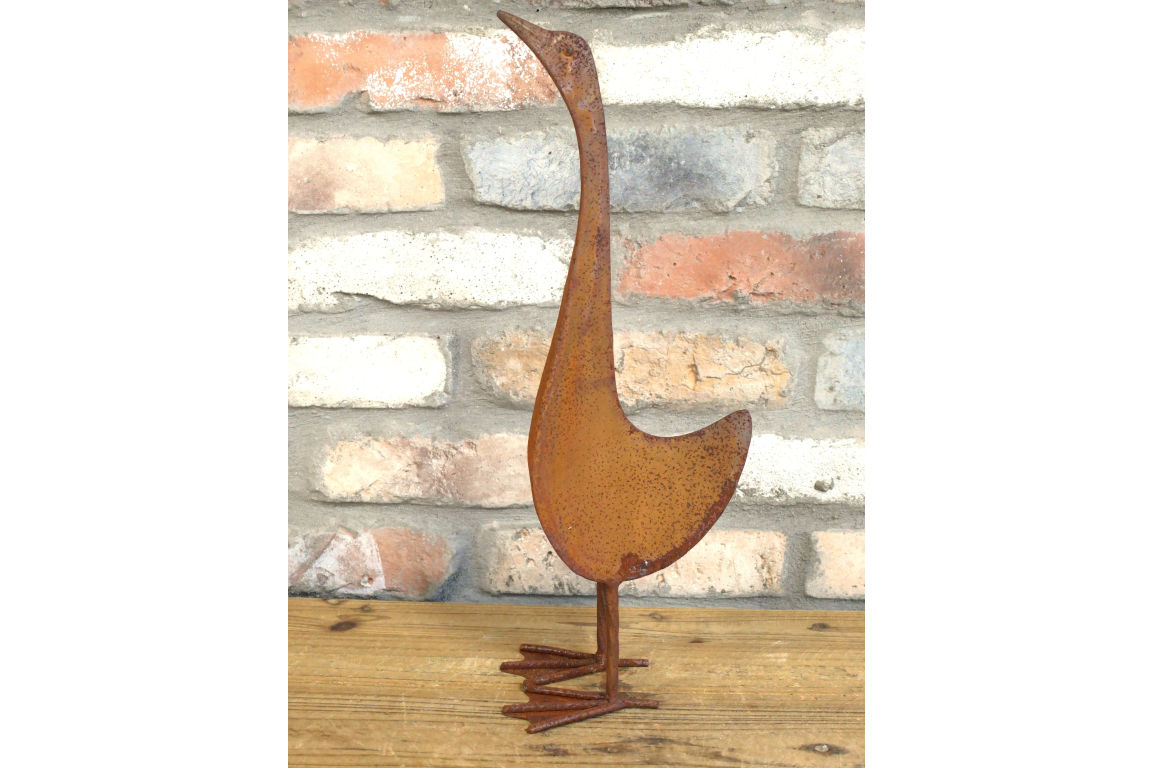 Small Rusty Bird