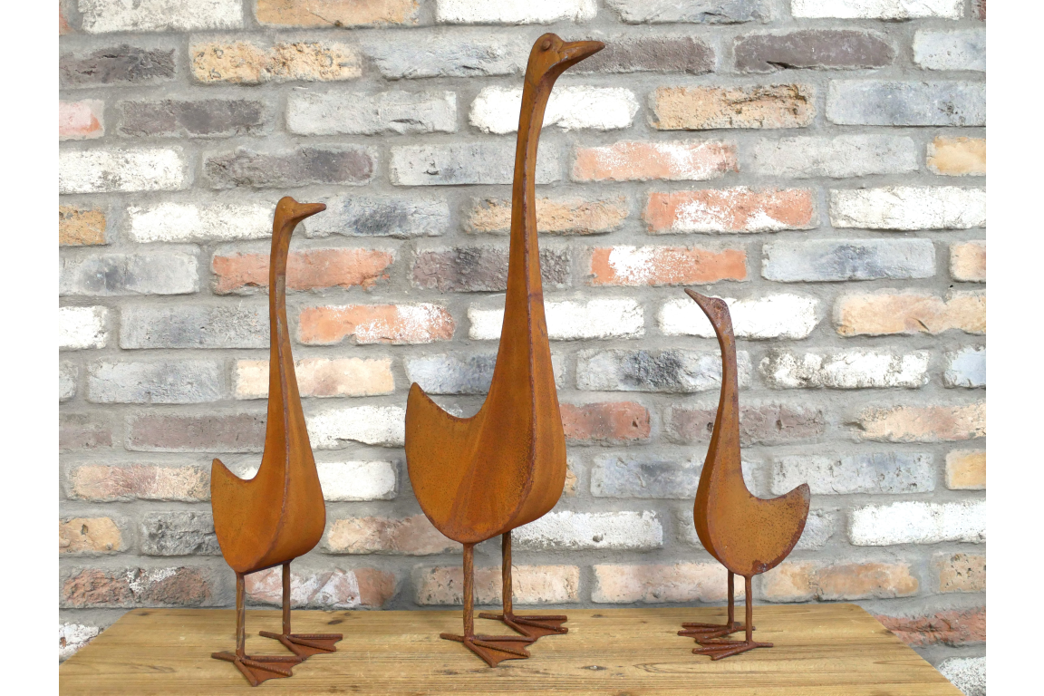 Small Rusty Bird