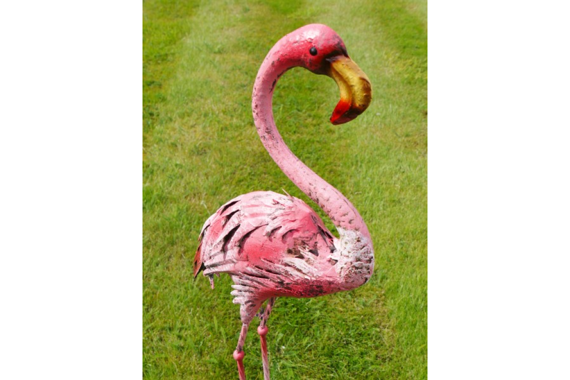 Flamingo - Small