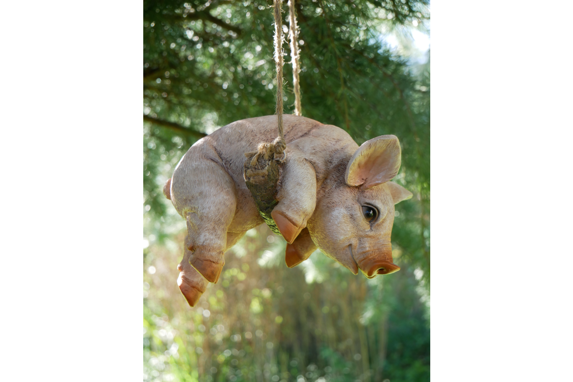 Hanging Pig