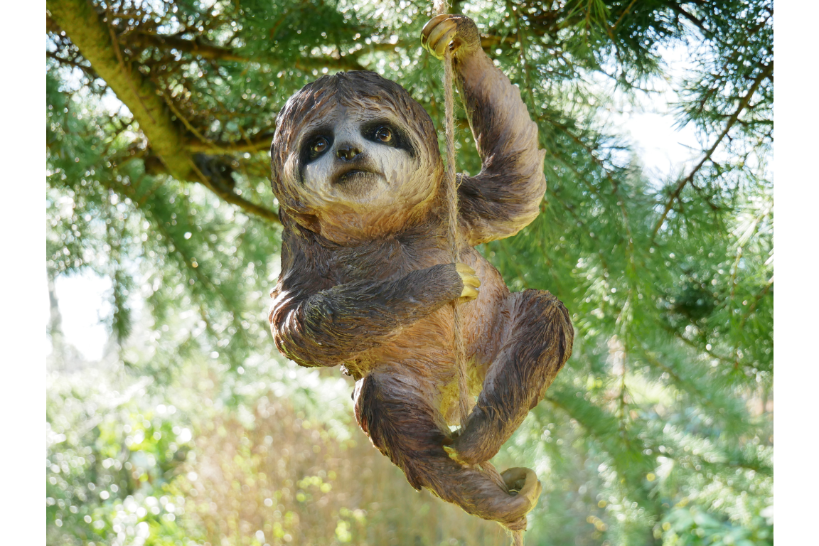 Climbing Sloth
