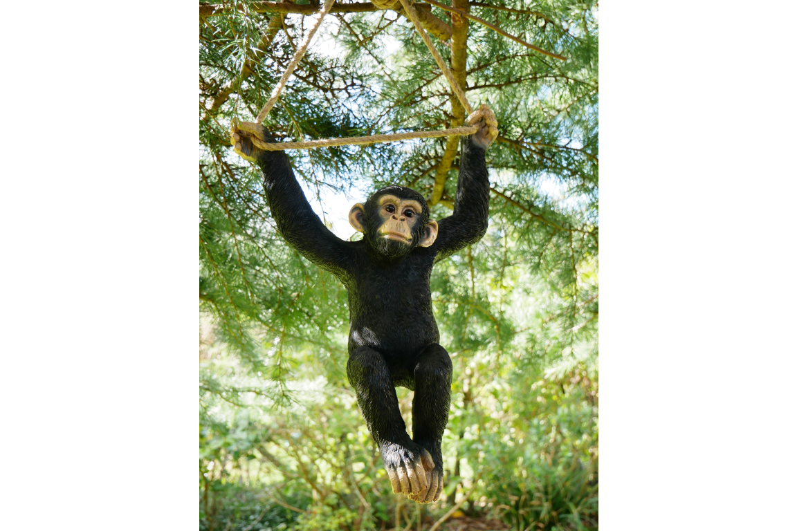 Climbing Monkey