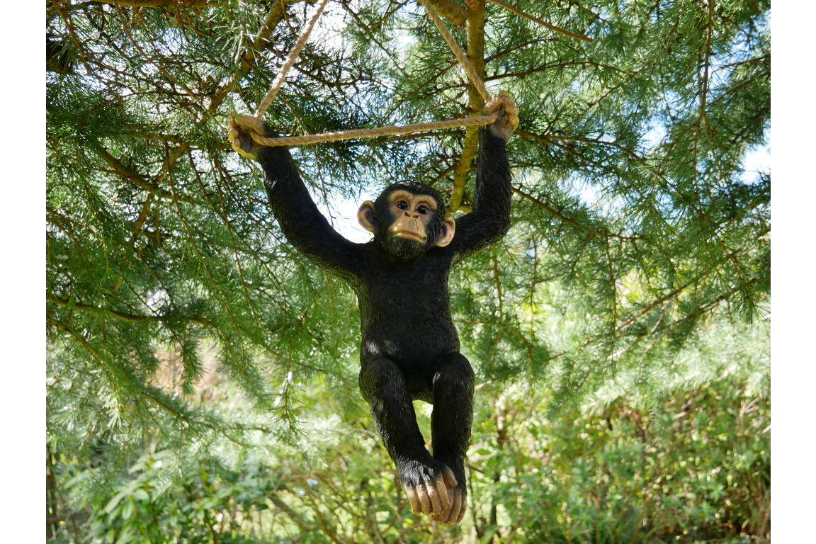 Climbing Monkey