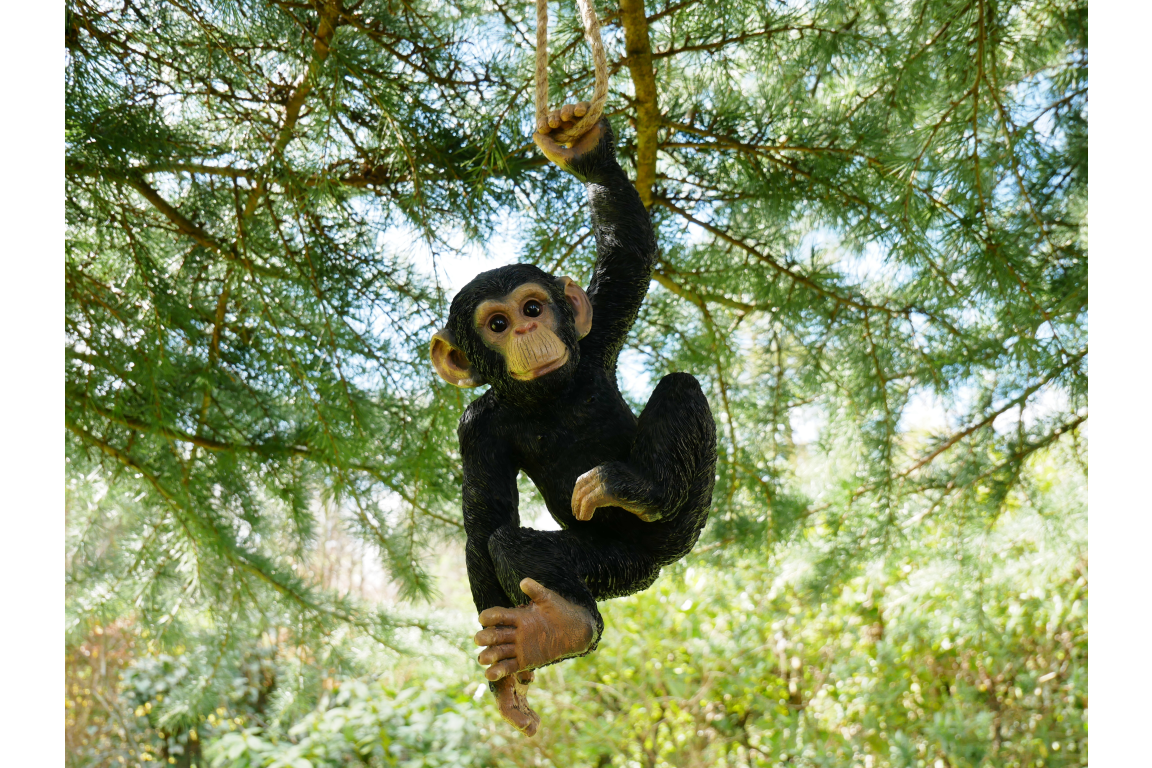 Climbing Monkey
