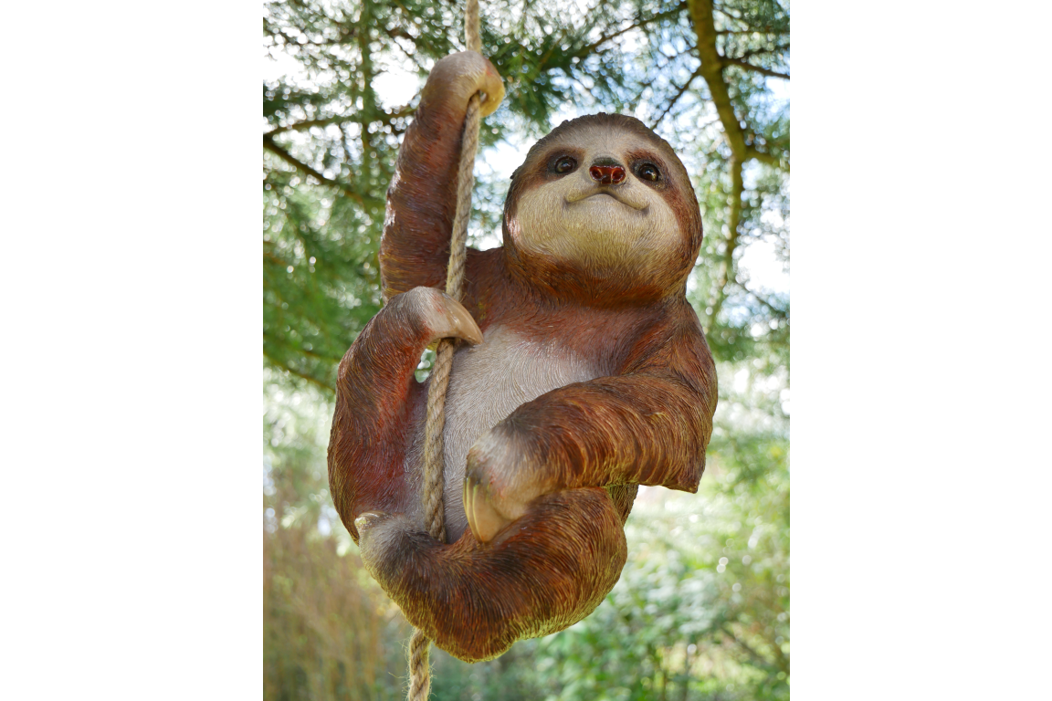 Climbing Sloth