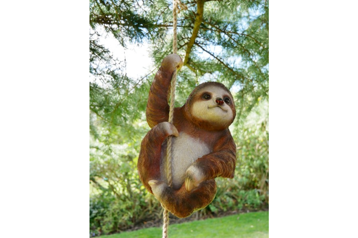 Climbing Sloth