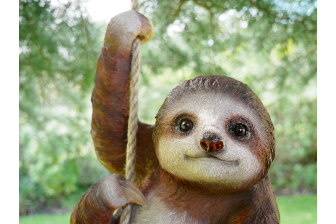 Climbing Sloth
