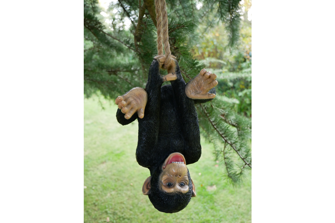 Climbing Monkey