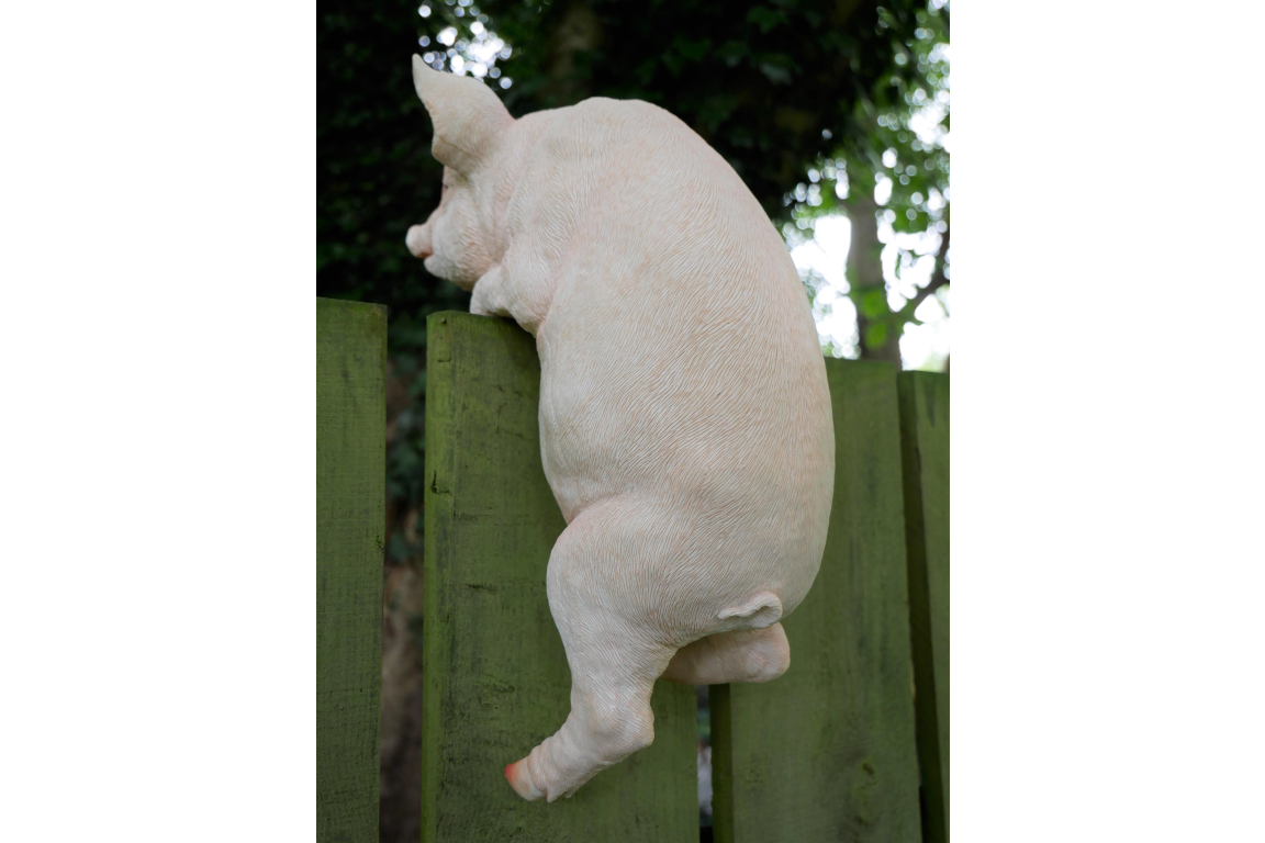 Hanging Pig