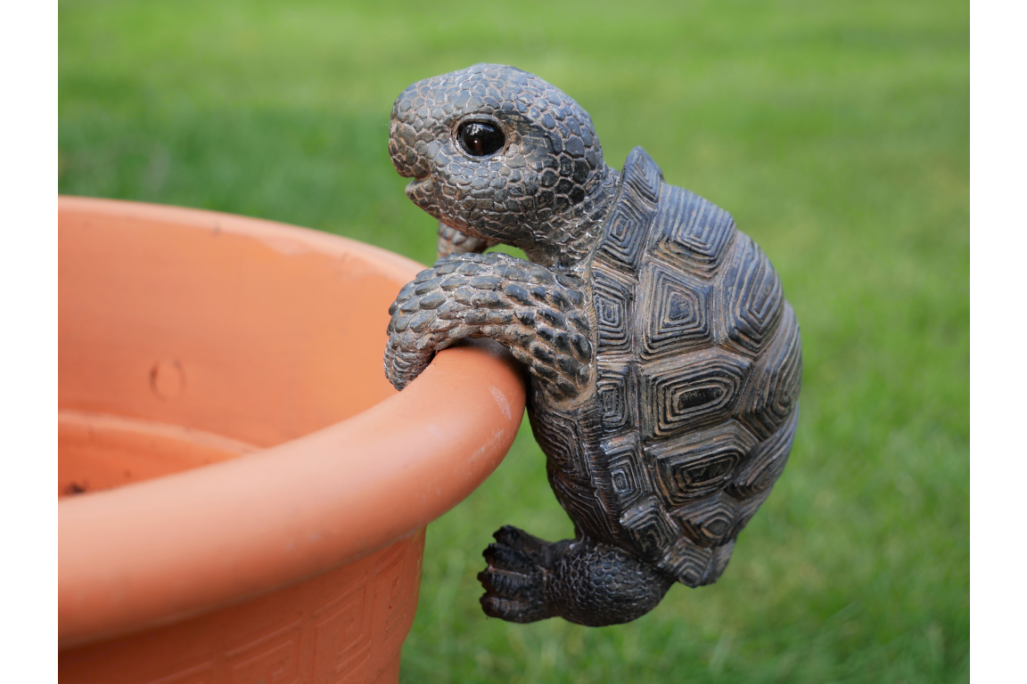 Pot Hanging Tortoise