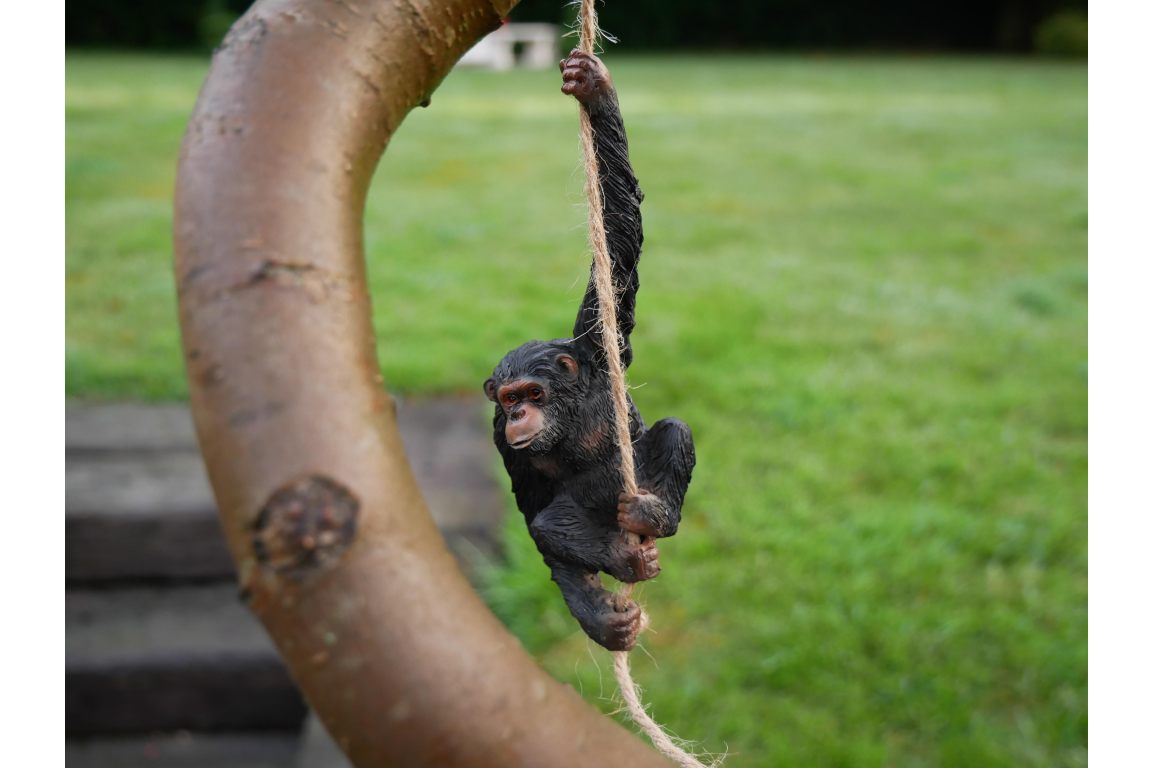 Gorillas & Monkeys On Rope (Set Of 2)