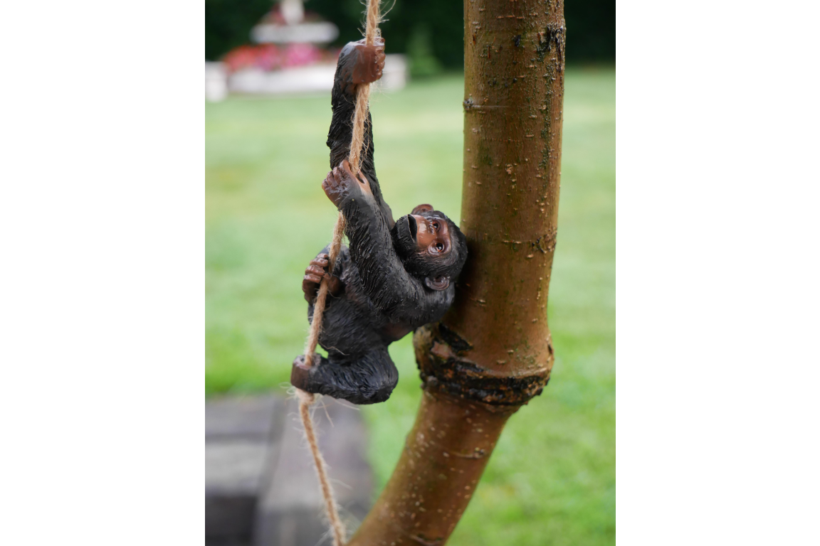 Gorillas & Monkeys On Rope (Set Of 2)