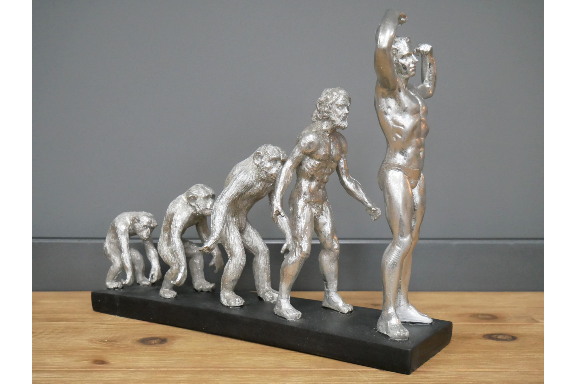 human-evolution