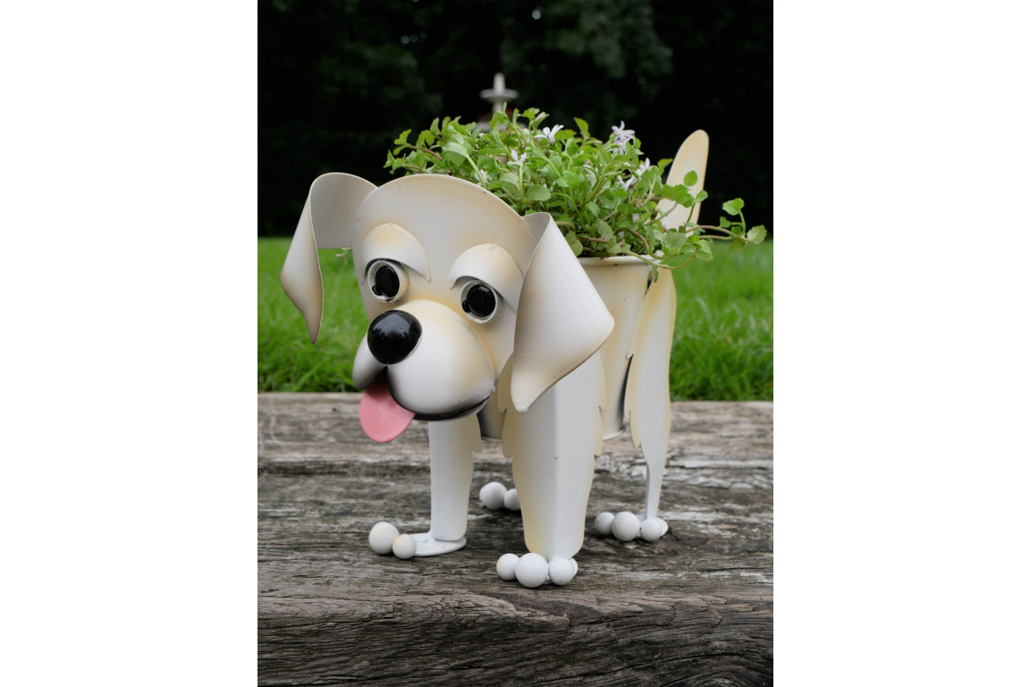 Labrador Planter