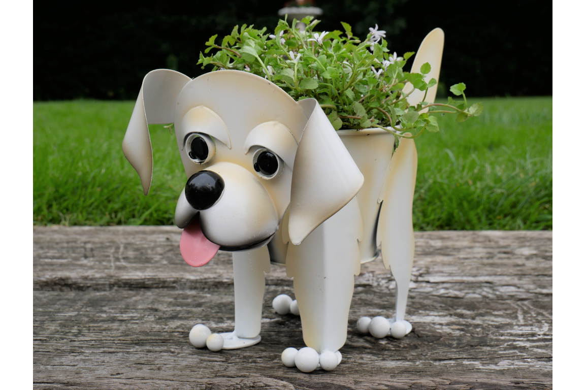 Labrador Planter