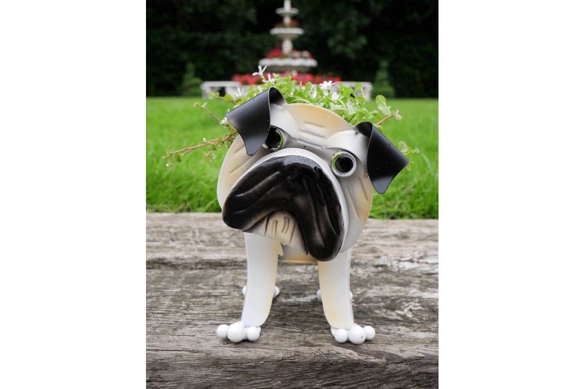 Pug Planter