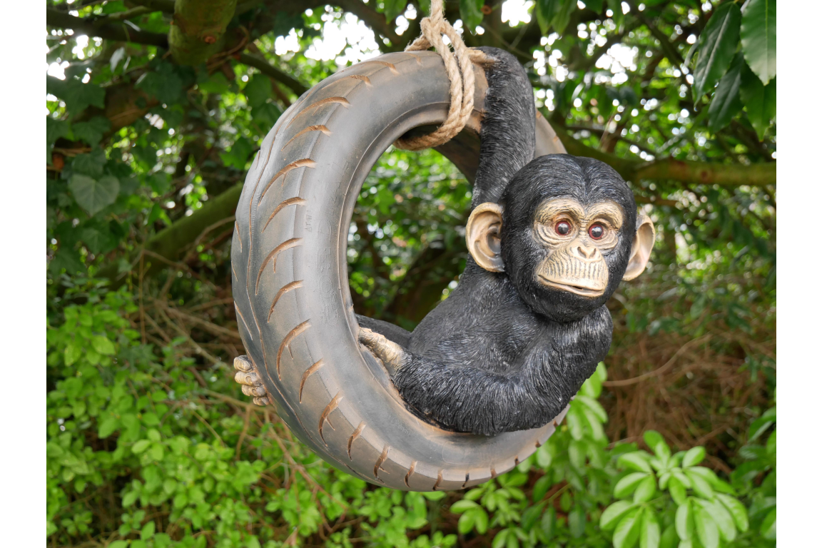 Chimpanzee On Tyre Swing