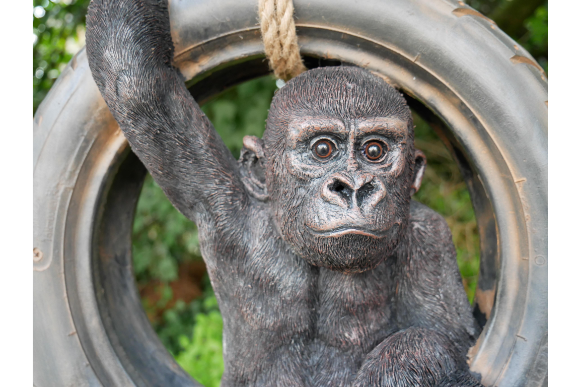 Gorilla On Tyre Swing