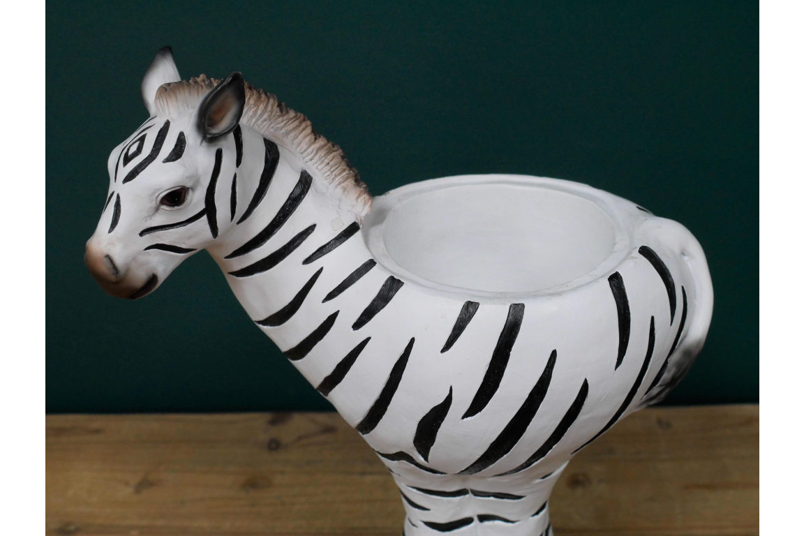 Zebra Planter