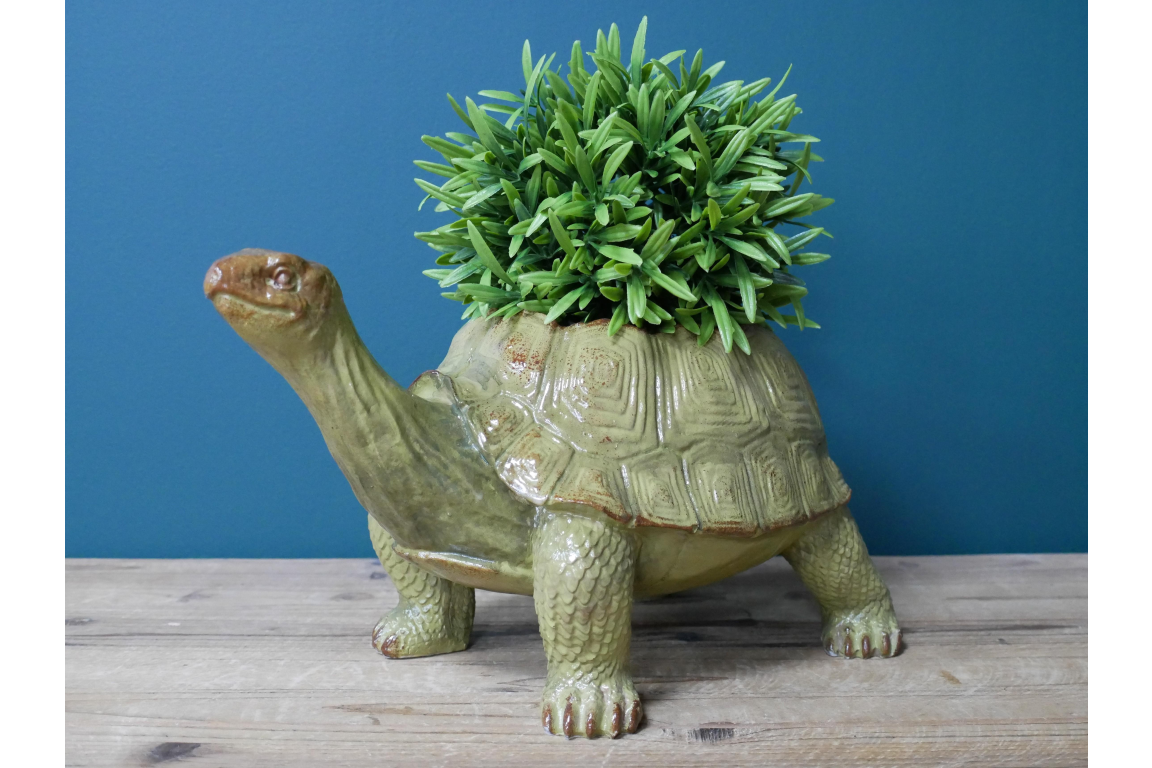 Tortoise Planter