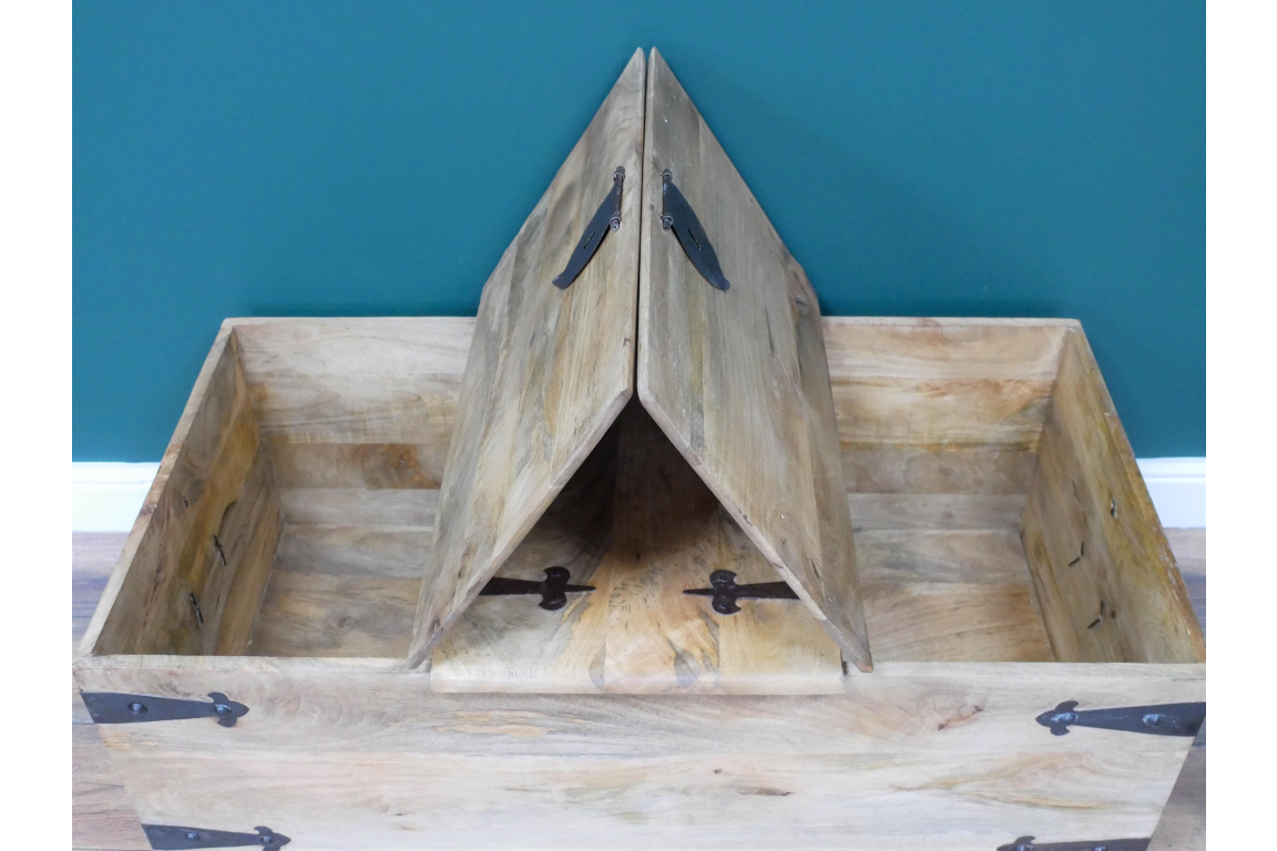 Large Trunk / Coffee Table