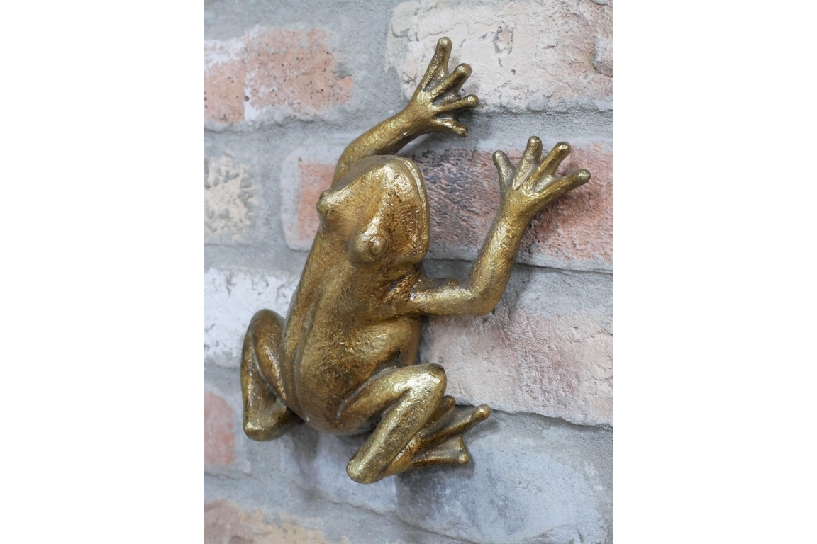 Frog Wall Decoration