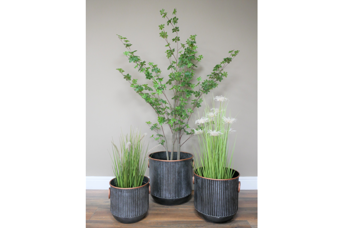 Set Of Three Planters