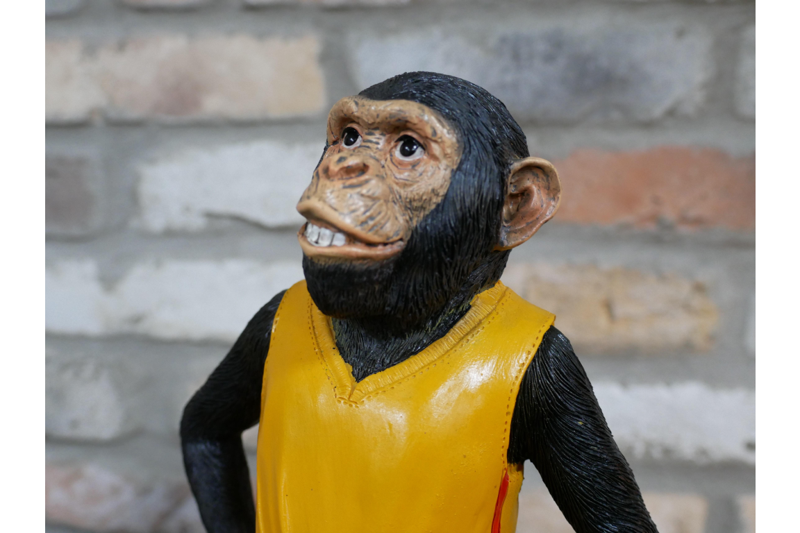 Basketball Monkey
