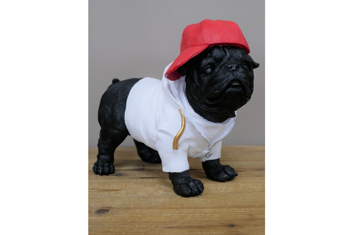 Dog With Cap