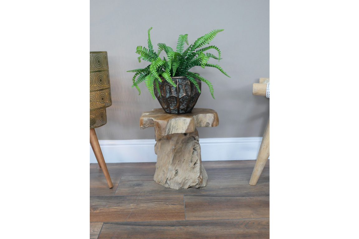 Root Side / Plant Stand