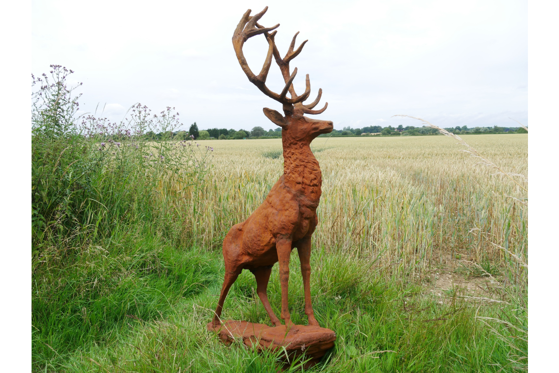 Rusty Stag