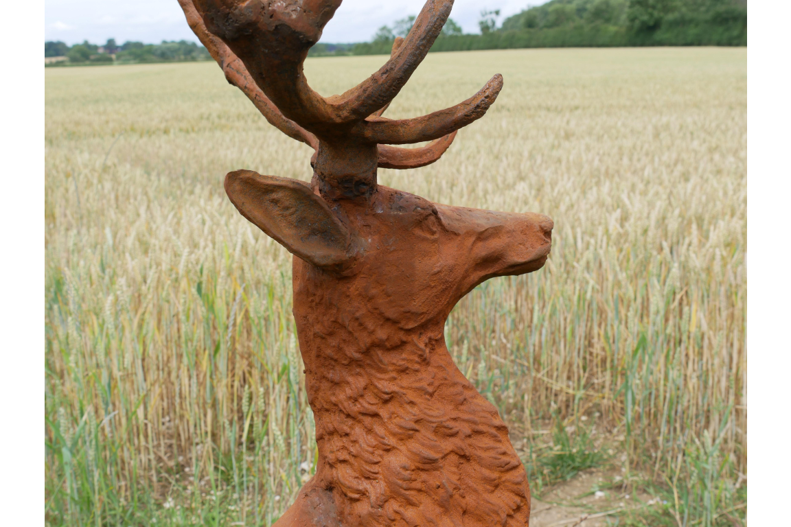 Rusty Stag