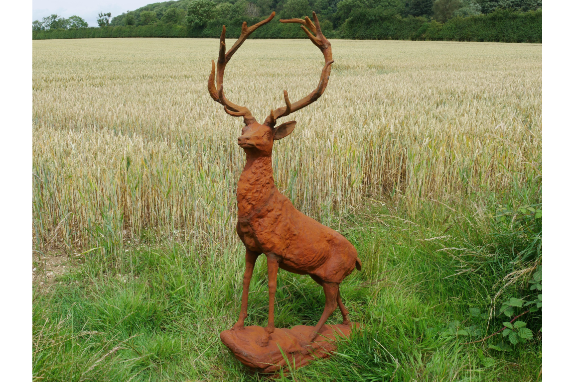 Rusty Stag