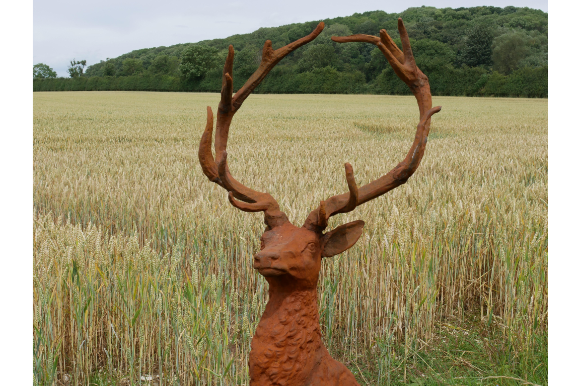 Rusty Stag