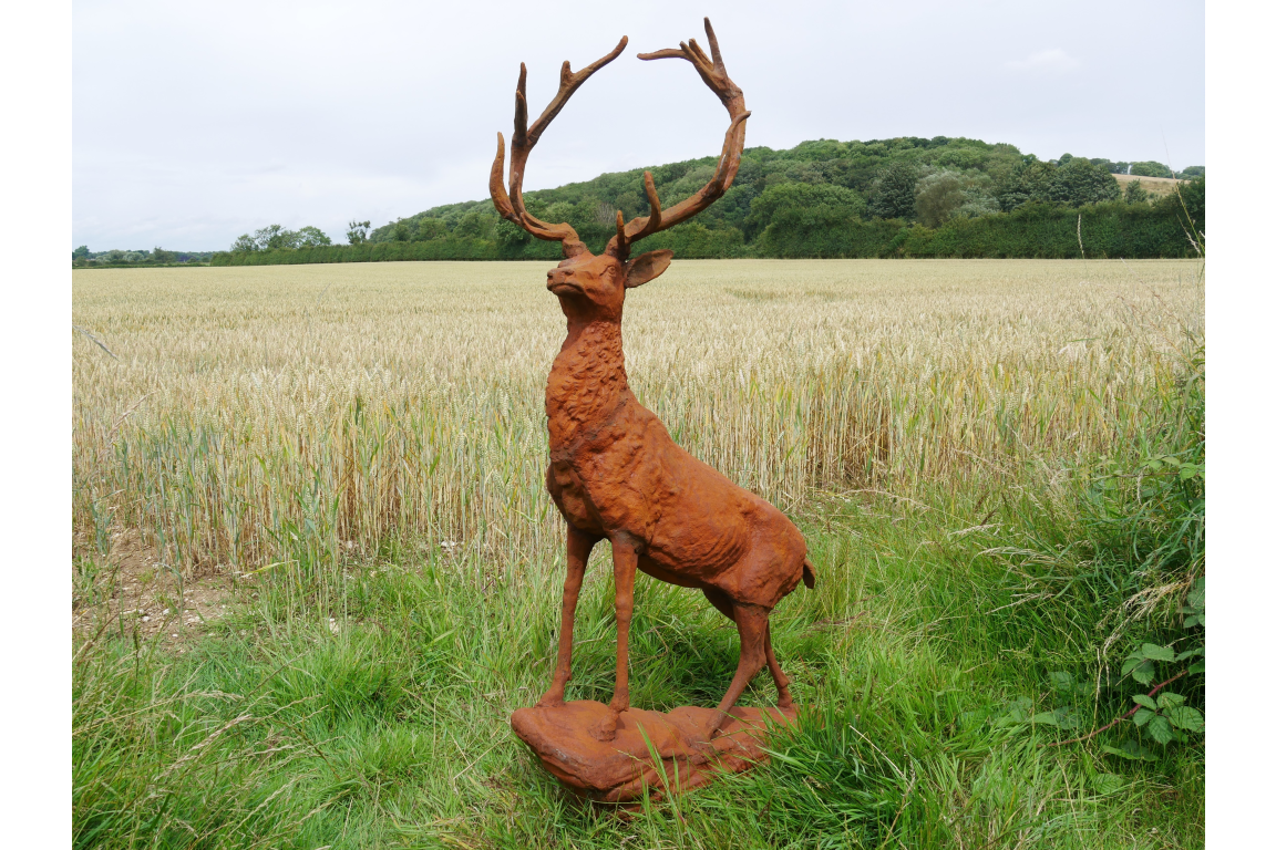Rusty Stag
