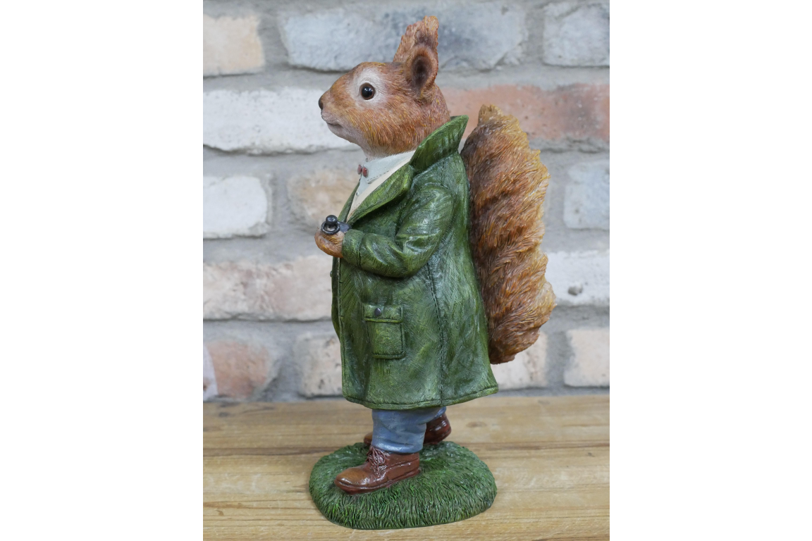 Mr Squirrel