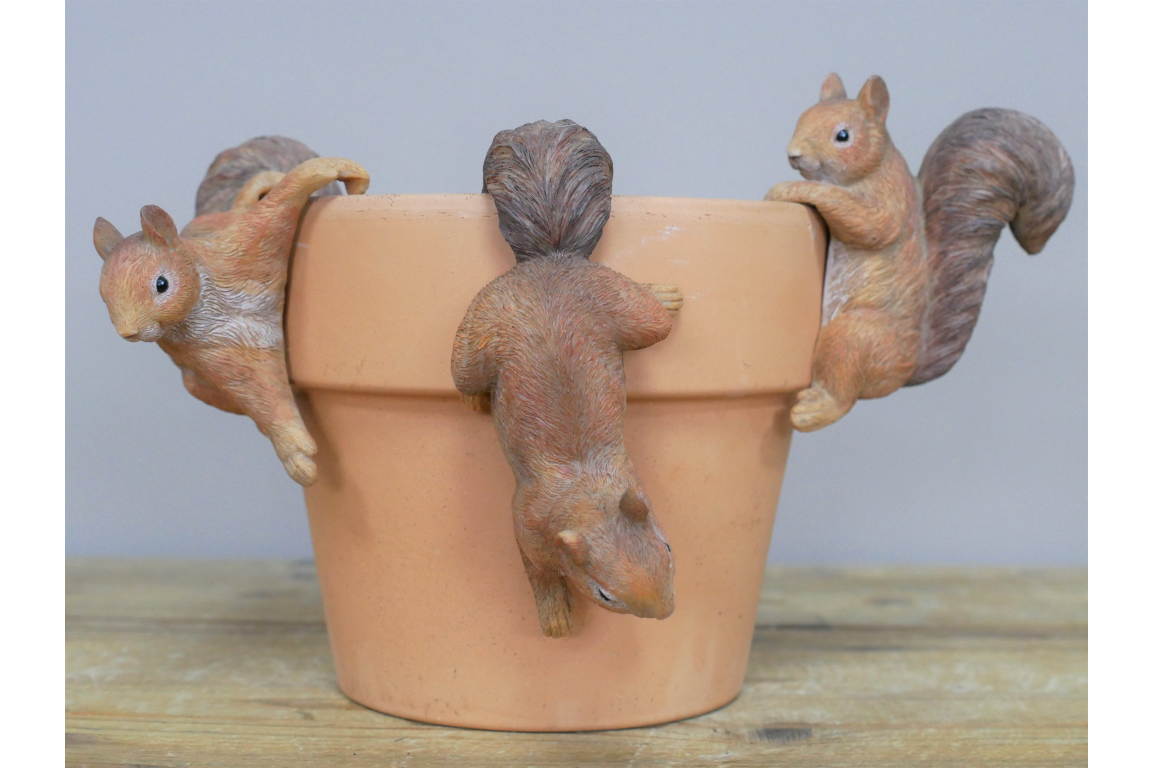 Set Of 3 Squirrel Pot Hangers