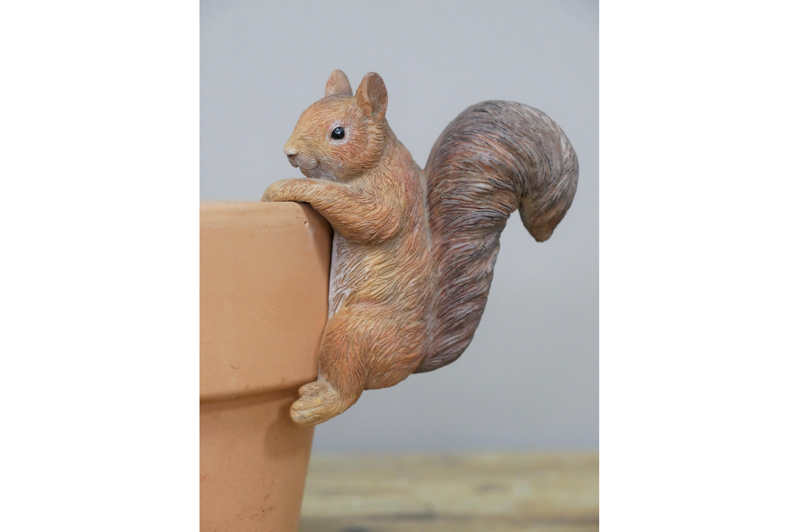 Set Of 3 Squirrel Pot Hangers