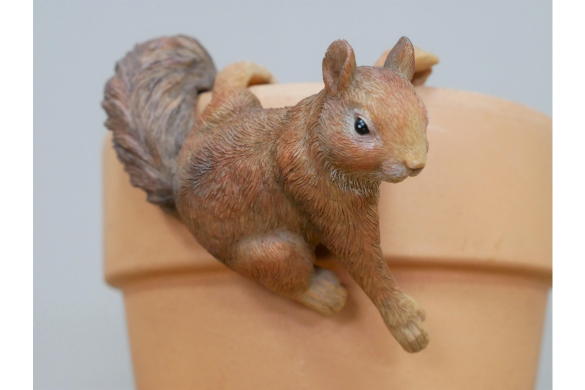 Set Of 3 Squirrel Pot Hangers