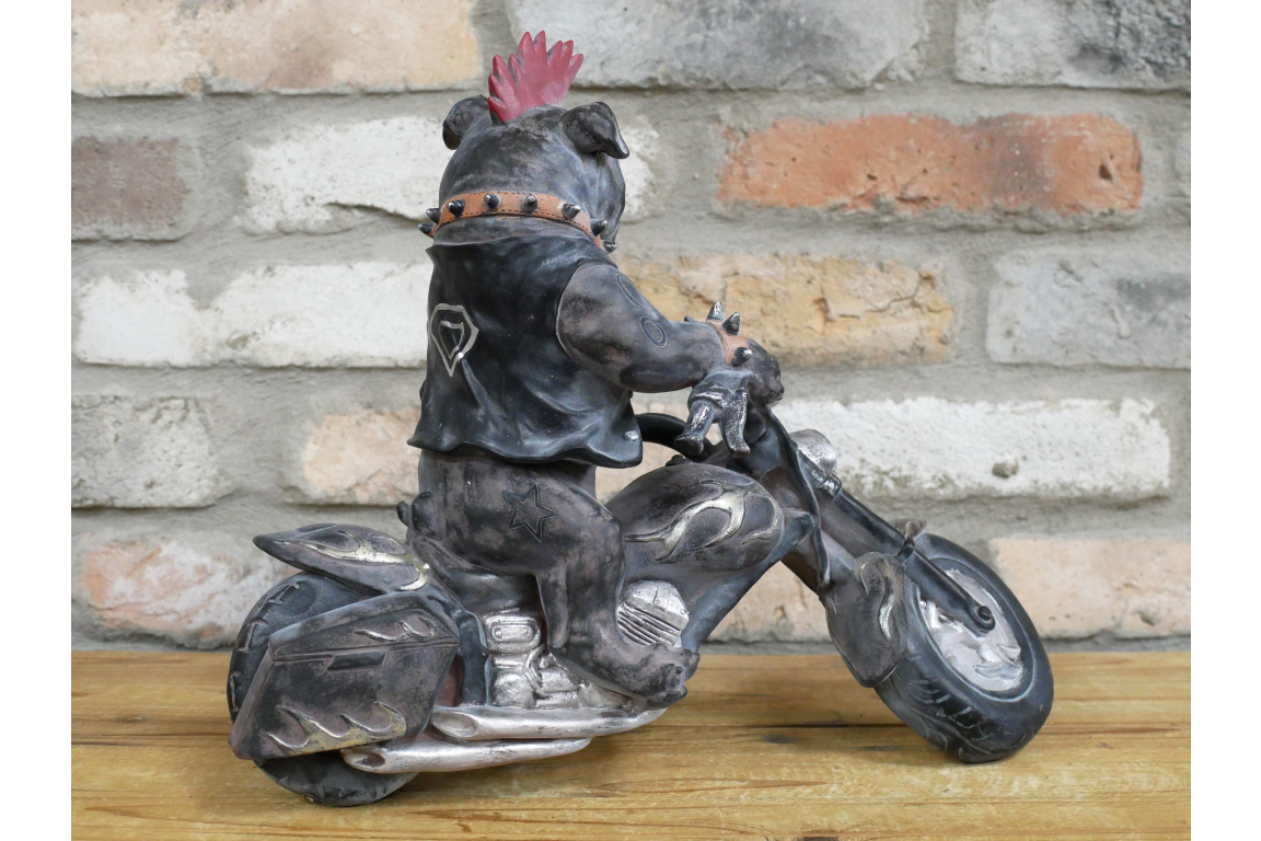 Bulldog On Motorbike